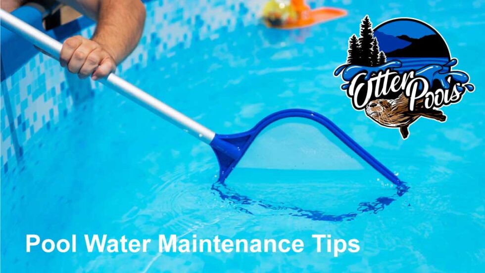 Maintenance Tips to Keep Your Pool Clean and Healthy - Otter Pools